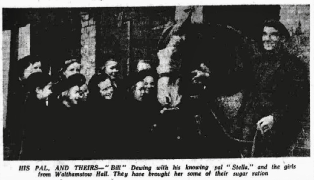 MM for Horse’s Friend, Bill | The Royal West Kent Regiment in The Great War